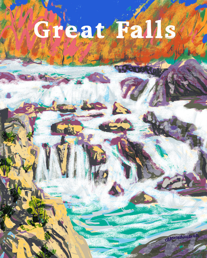 Great Falls - Prints and postcards from Washington DC – The Culture Curious